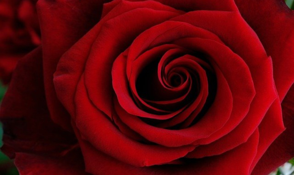 Valentine s Day Gift Ideas Find An AsianDate Valentine s Day Gift Ideas Find An AsianDate